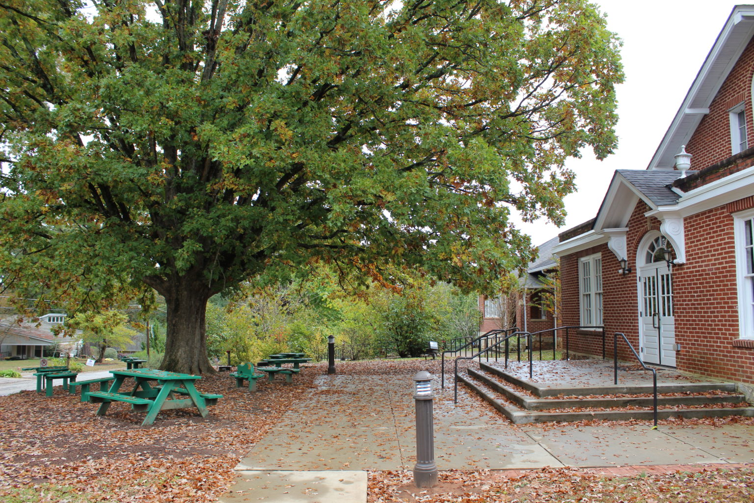 Our Year in Review - 2020 - Clarkston Community Center